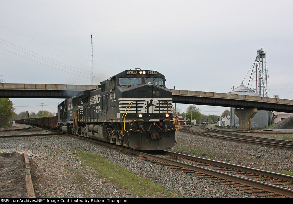 NS 9238 on NS 68T